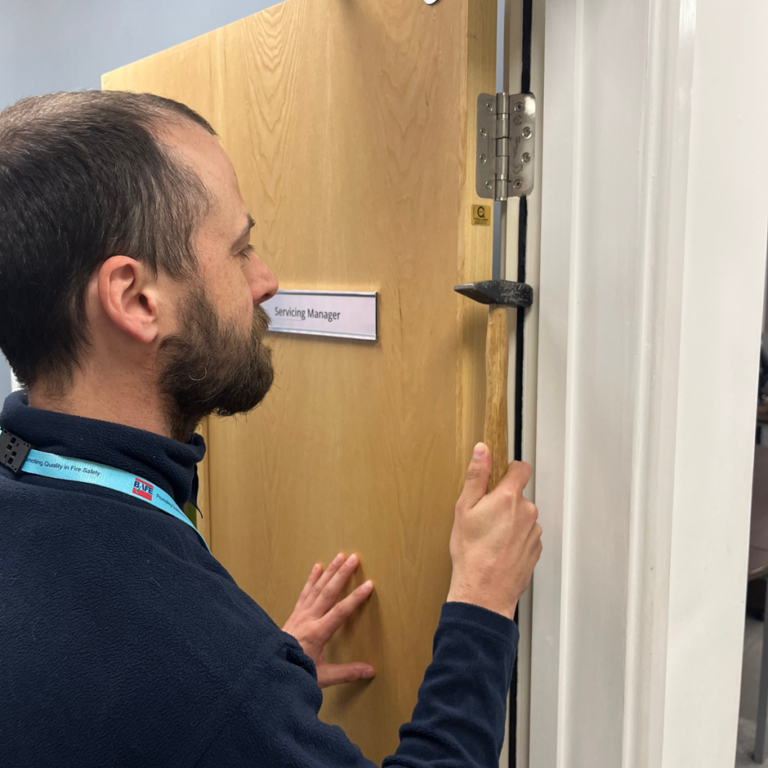 Intumescent strips for fire doors